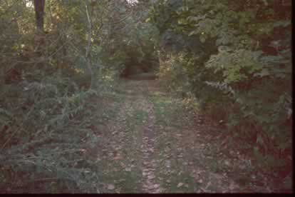 Hojack40_jpg – Friends of Webster Trails