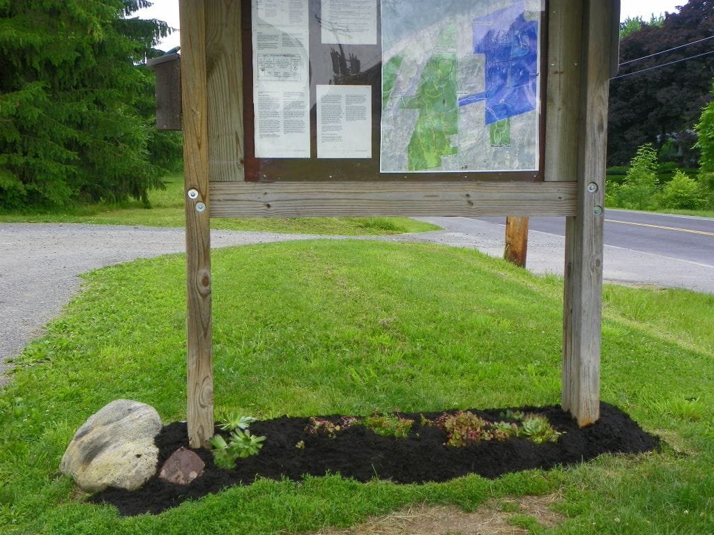 Volunteers from Day Hab-Without Walls at CDS Monarch: plants at Whiting ...