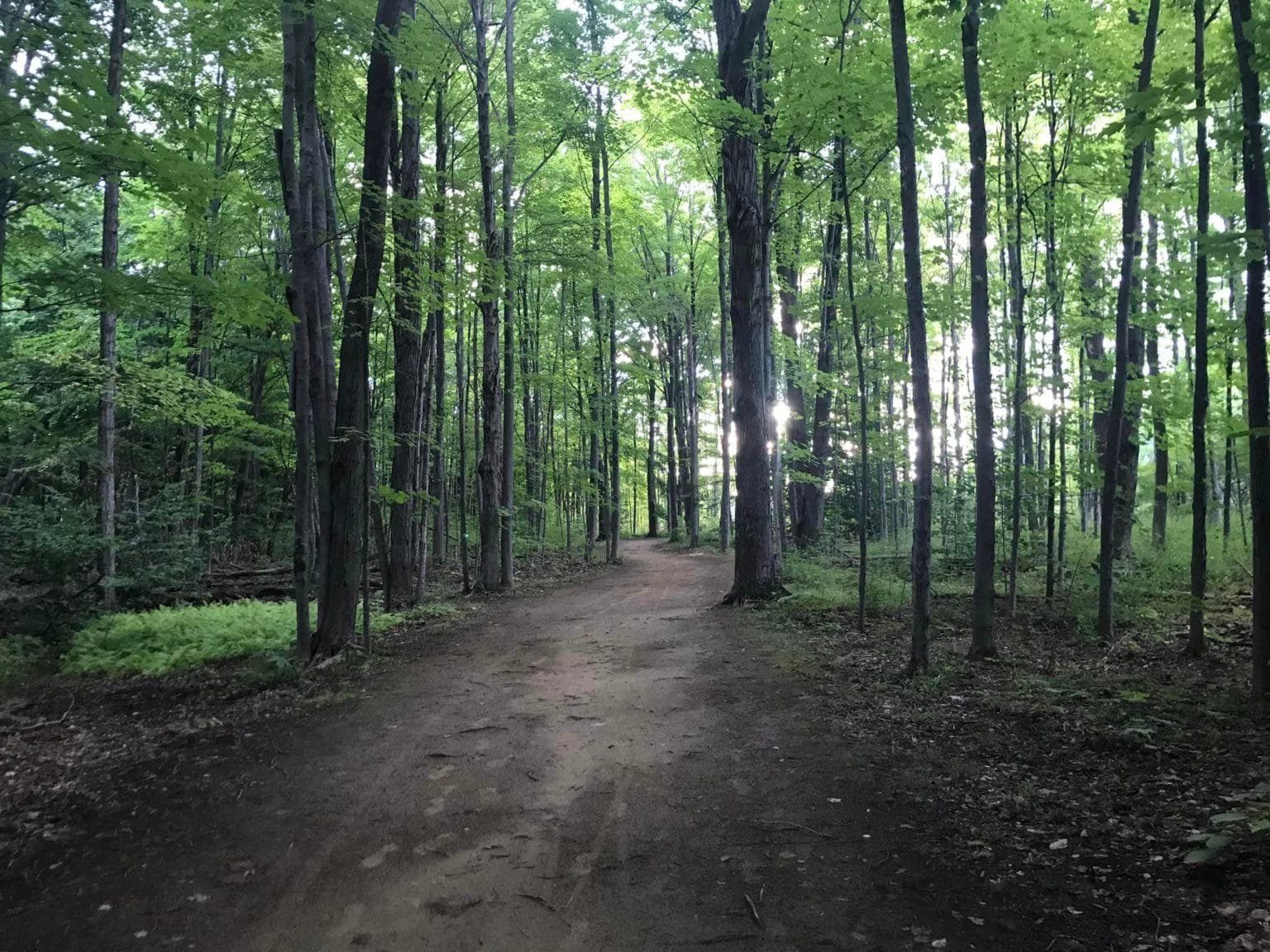 Bird Sanctuary Trail – Friends of Webster Trails