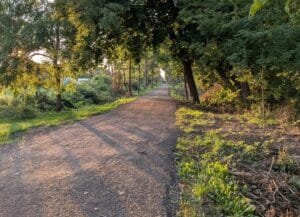 Trails – Friends of Webster Trails