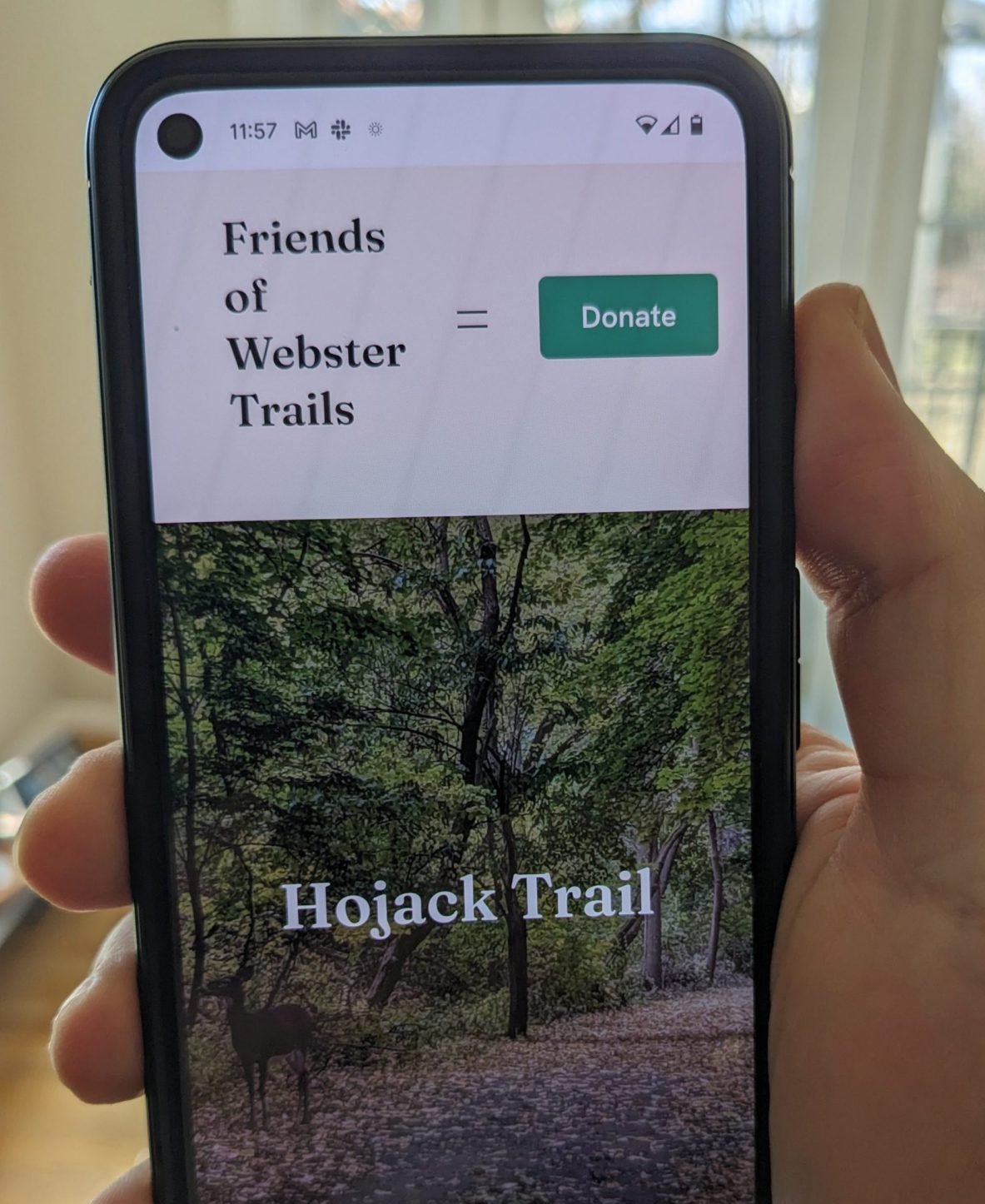 Explore the new WebsterTrails.org – Friends of Webster Trails