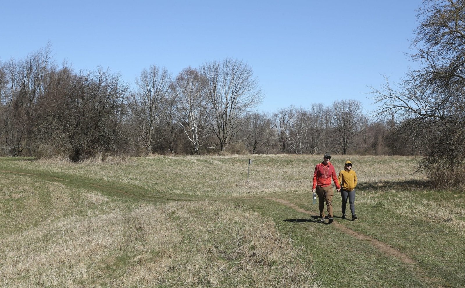 Whiting Road Nature Preserve – Friends of Webster Trails
