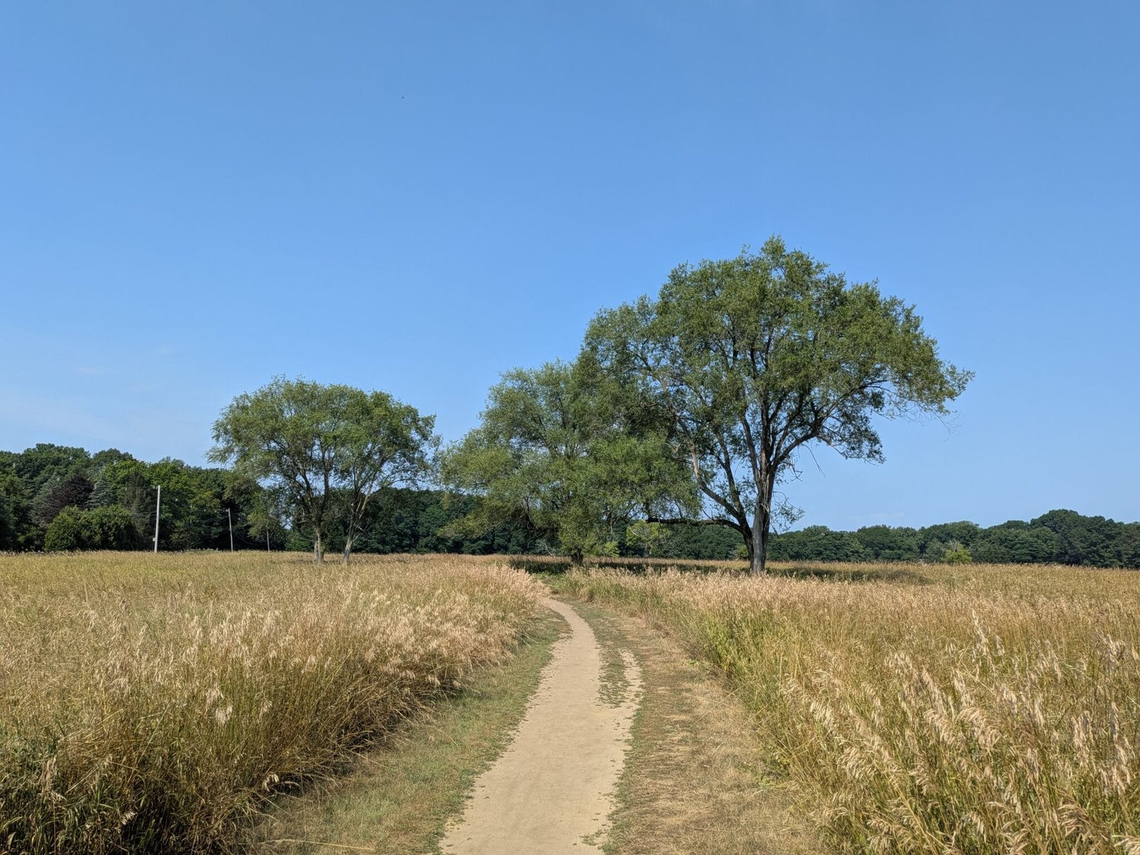 Friends of Webster Trails – Where trails are worth walking