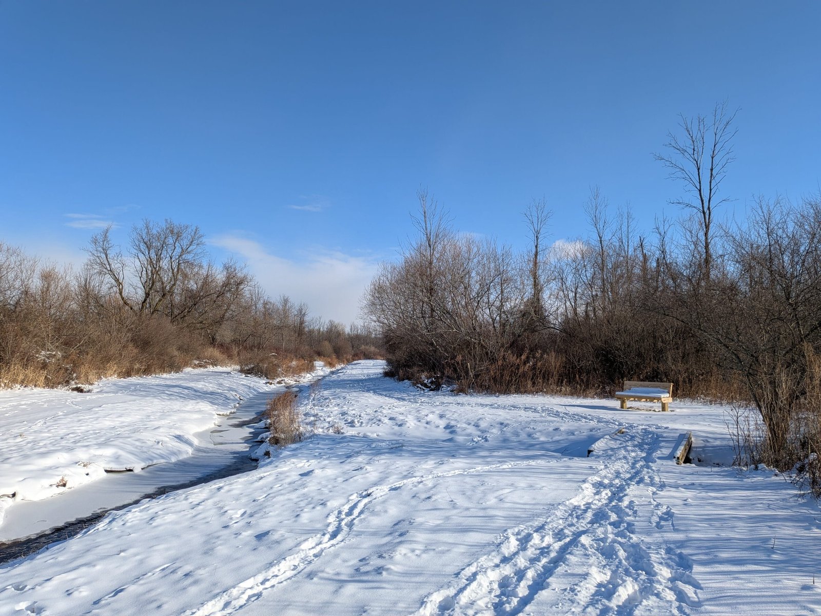 Winter Hike – CANCELLED – Friends of Webster Trails